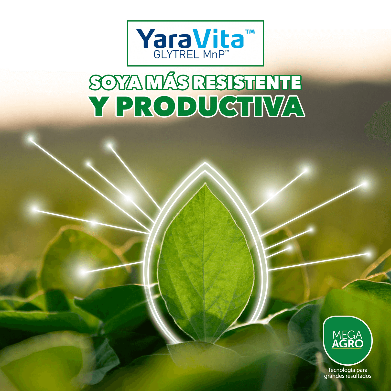 Marketing y Comunicación | SERTEK